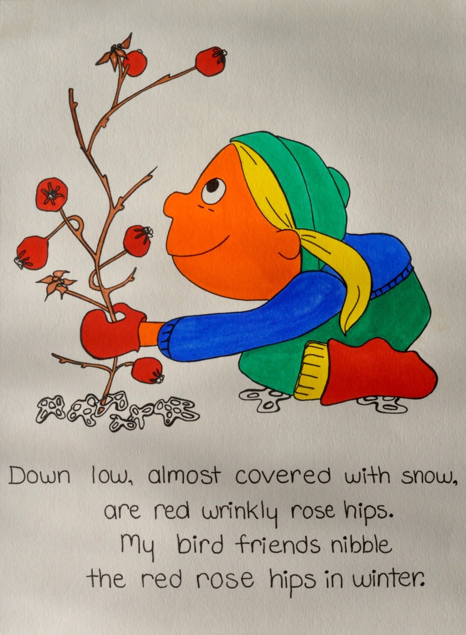 Joy Laking celebrates winter in children’s book, Colours in Winter – NS ...